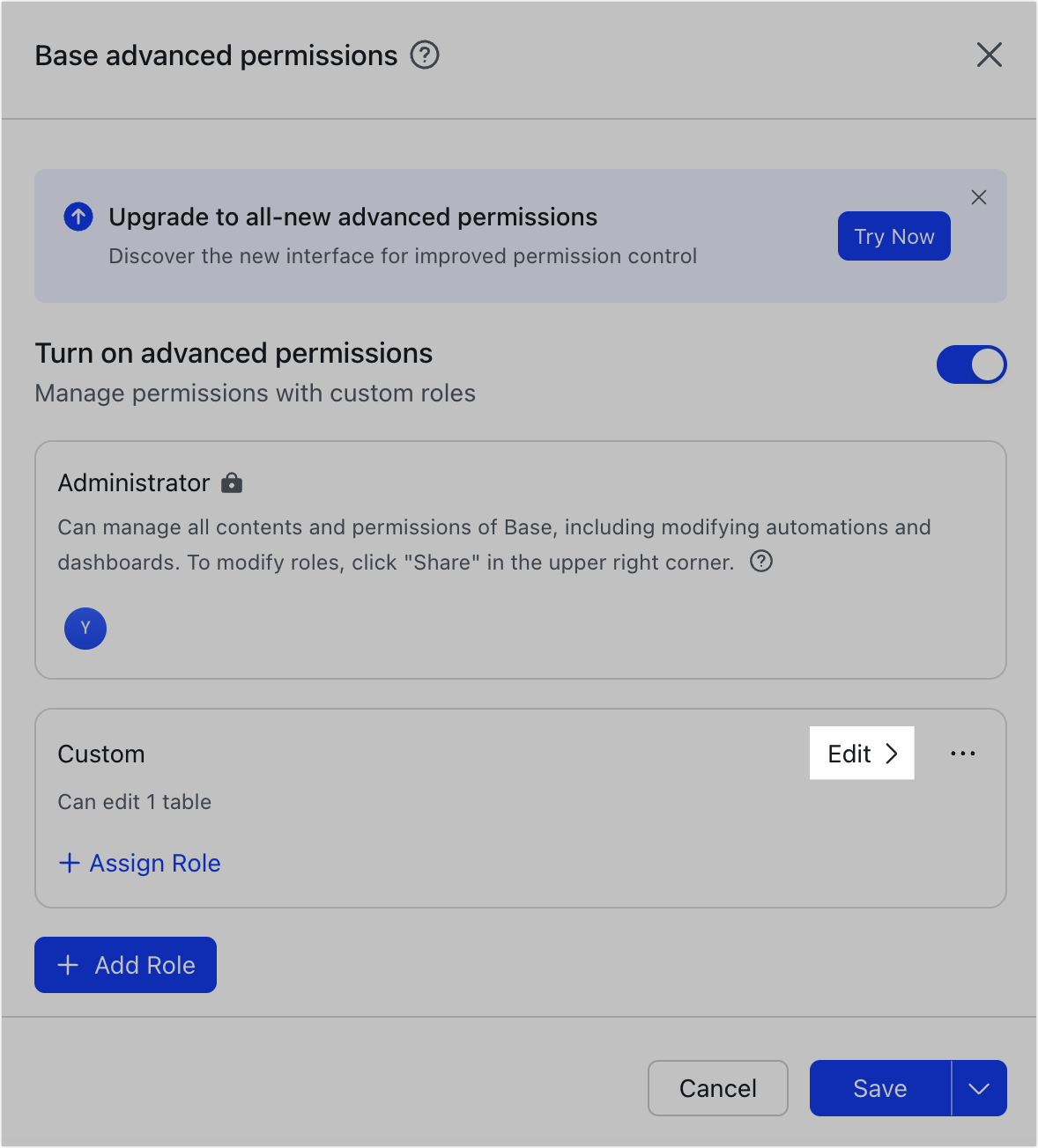 Overview of record and field permissions in advanced permissions